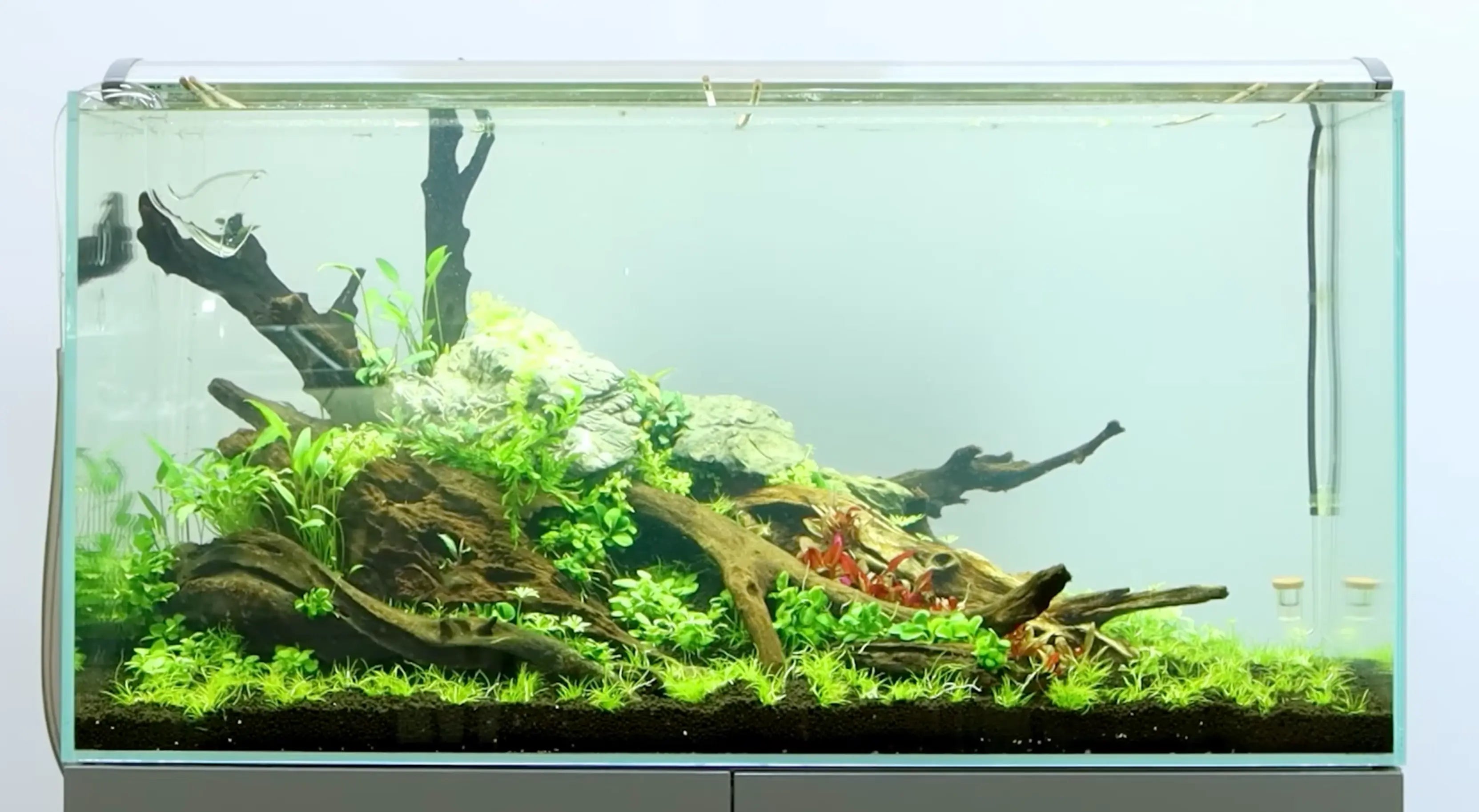 Inspiration from Tropica and a new way to use Root Tabs - Aqua