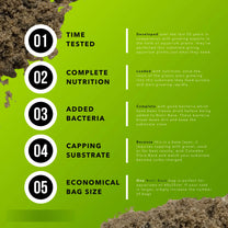 Colombo Nutri Base 5L | Aquarium Plant Substrate Soil - Aqua – Aqua ...