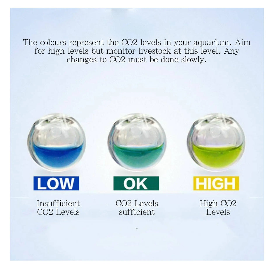 CO₂ Accessories - Aqua Essentials