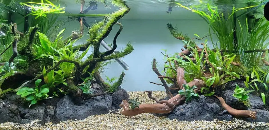 Aquarium Rocks - Aqua Essentials