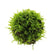 Floating Moss Ball - Aqua Essentials