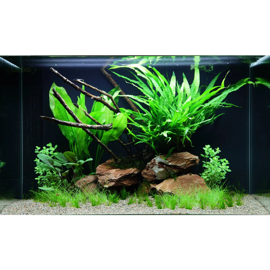 Scaped For You: Complete Aquascape Kits UK - Aqua Essentials